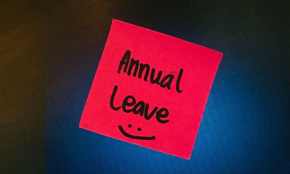 annual leaves or annual leave